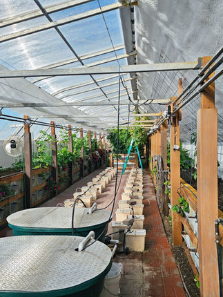 Greenhouse in the Snow | Geothermal 4-Season Greenhouse | 1114 W 2nd St ...