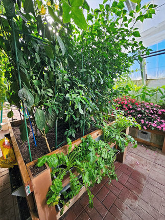 Greenhouse in the Snow | Geothermal 4-Season Greenhouse | 1114 W 2nd St ...