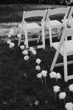 Florals For The Modern Romantic | Eden Rose