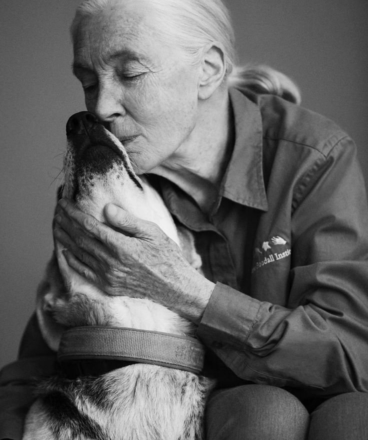 Honoring Dr. Jane Goodall: A Legacy of Compassion That Inspires CARE ...