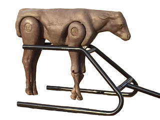 Calf roping dummy; Calf Roping Tie Down Training System