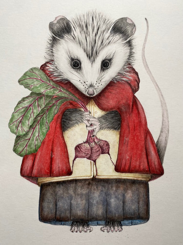 Opossum print | Heather Sparks Art