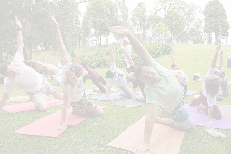 Programa Detox | Chacarananda