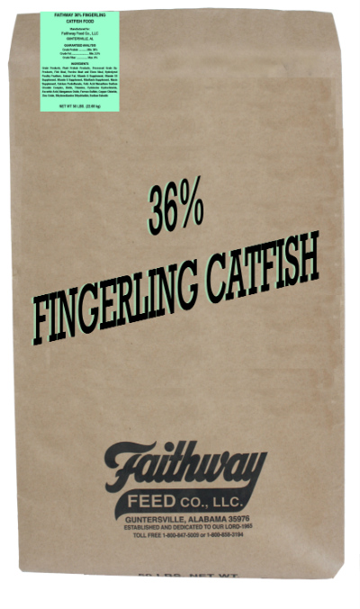 Fingerling Fish Feed
