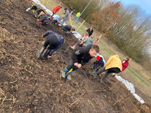 Tiny Forest Tree Planting