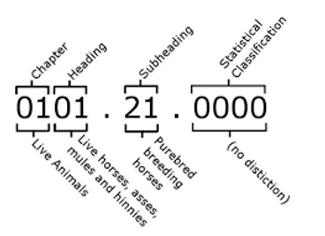 Customs Classification Demystified