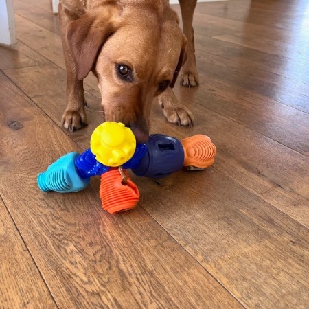 K9 Connectables Dog Toy Review | Enrichment Dog Toys | Smart Bark