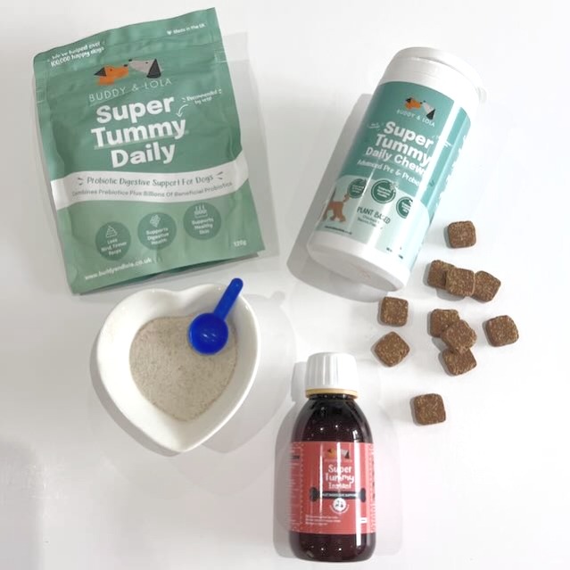Best Probiotic Supplements for Dogs | Smart Bark