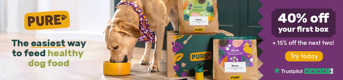 Best Dog Food UK for 2025 : Independently Tested & Reviewed | Smart Bark