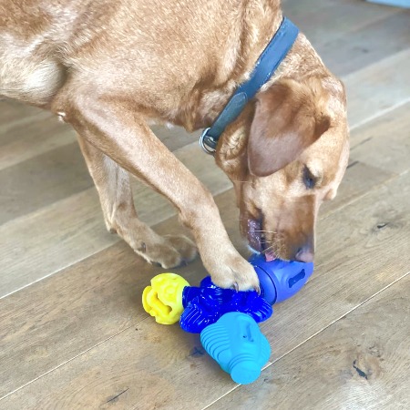 K9 Connectables Dog Toy Review | Enrichment Dog Toys | Smart Bark
