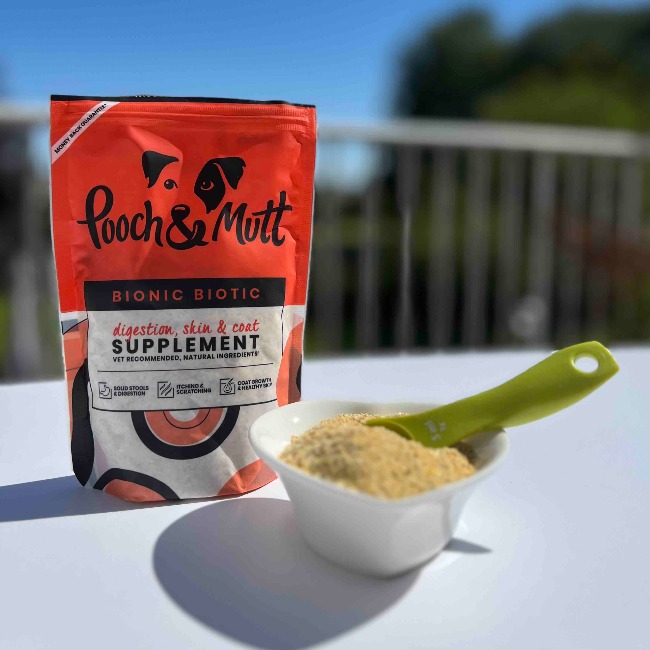 Best Probiotic Supplements for Dogs | Smart Bark