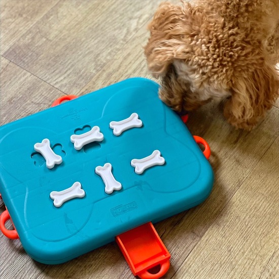 Best Puzzle Toys for Dogs | Banish Boredom | Smart Bark