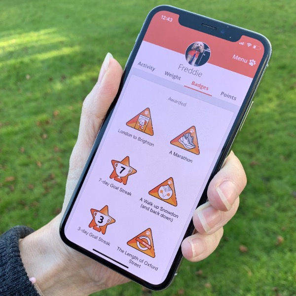 Top 3 Dog Activity Trackers in UK | Fitbit for Dogs Review | Smart Bark
