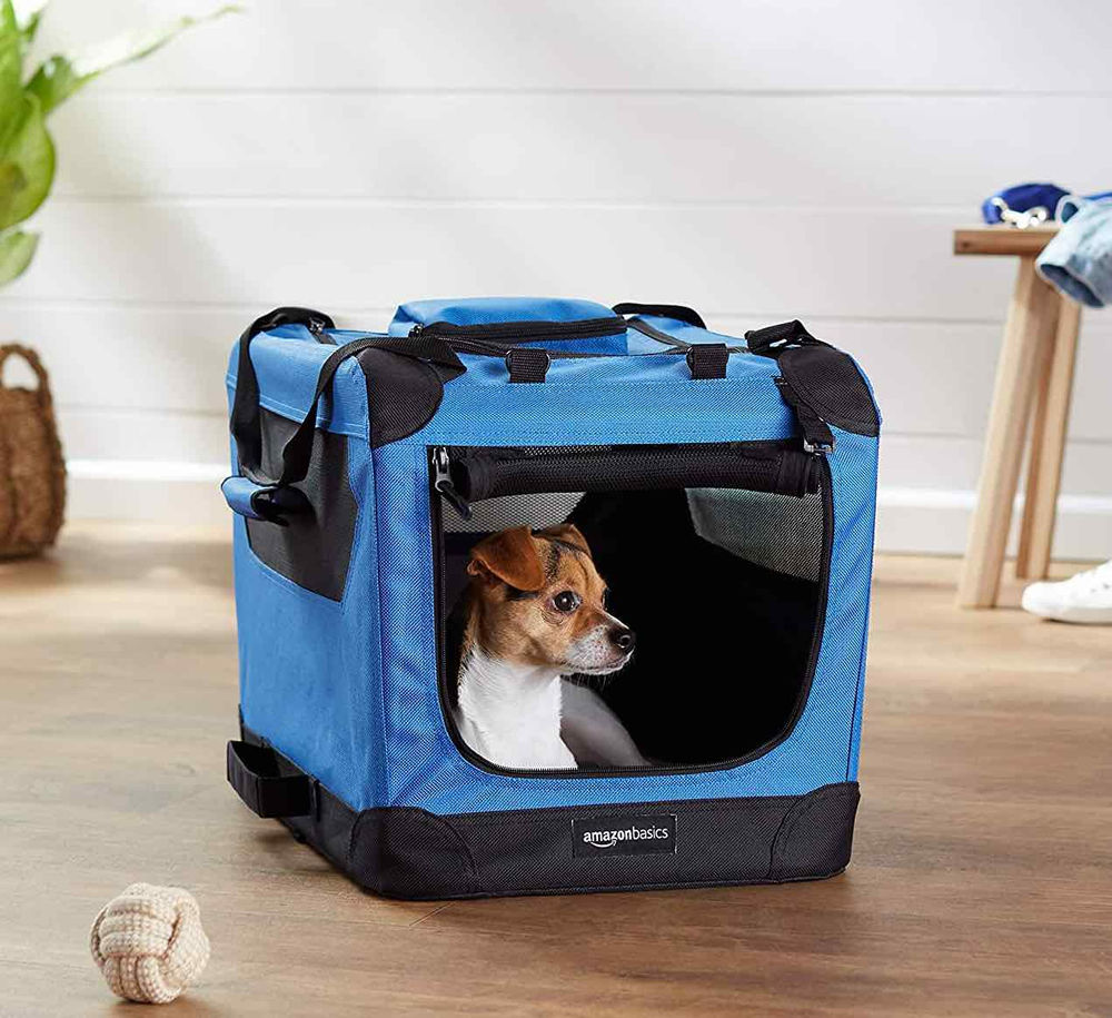 Bringing a Puppy Home UK | Transport a Puppy in the Car | Smart Bark