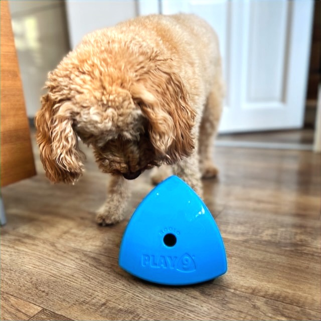Best Puzzle Toys for Dogs | Banish Boredom | Smart Bark