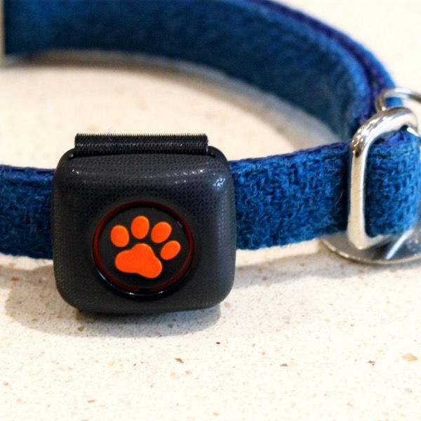 Top 3 Dog Activity Trackers in UK | Fitbit for Dogs Review | Smart Bark