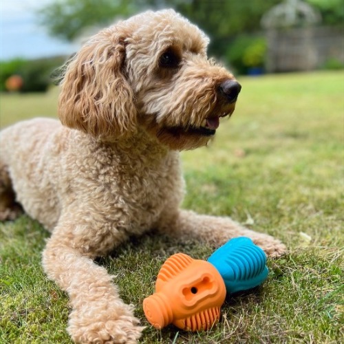 K9 Connectables Dog Toy Review | Enrichment Dog Toys | Smart Bark