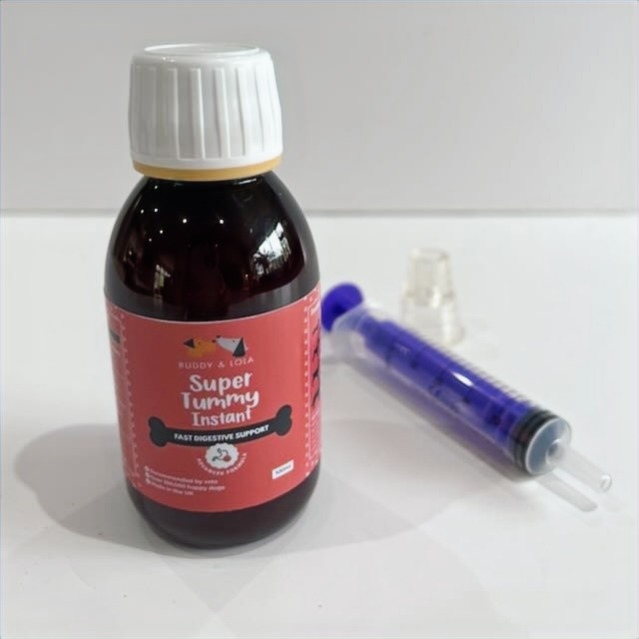 Best Probiotic Supplements for Dogs | Smart Bark