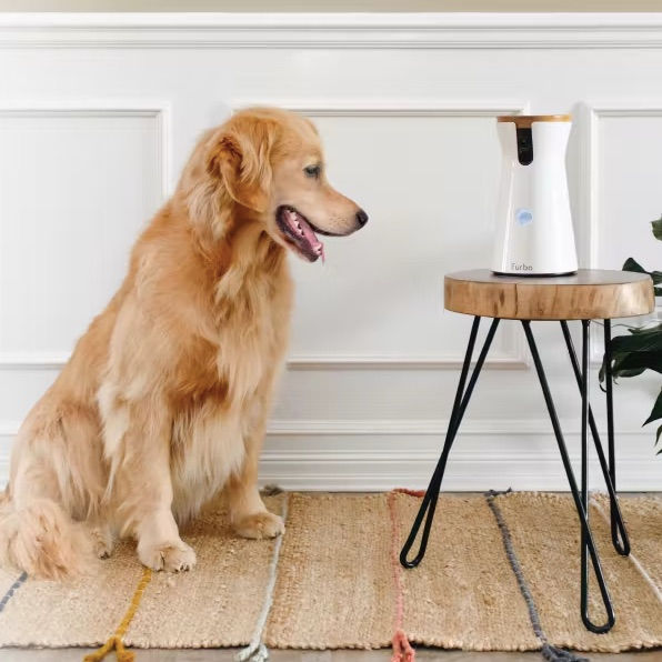 Top 10 Cool Dog Gadgets | Dog Tech | Smart Bark