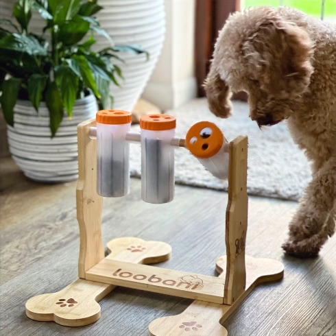 Best Puzzle Toys for Dogs | Banish Boredom | Smart Bark