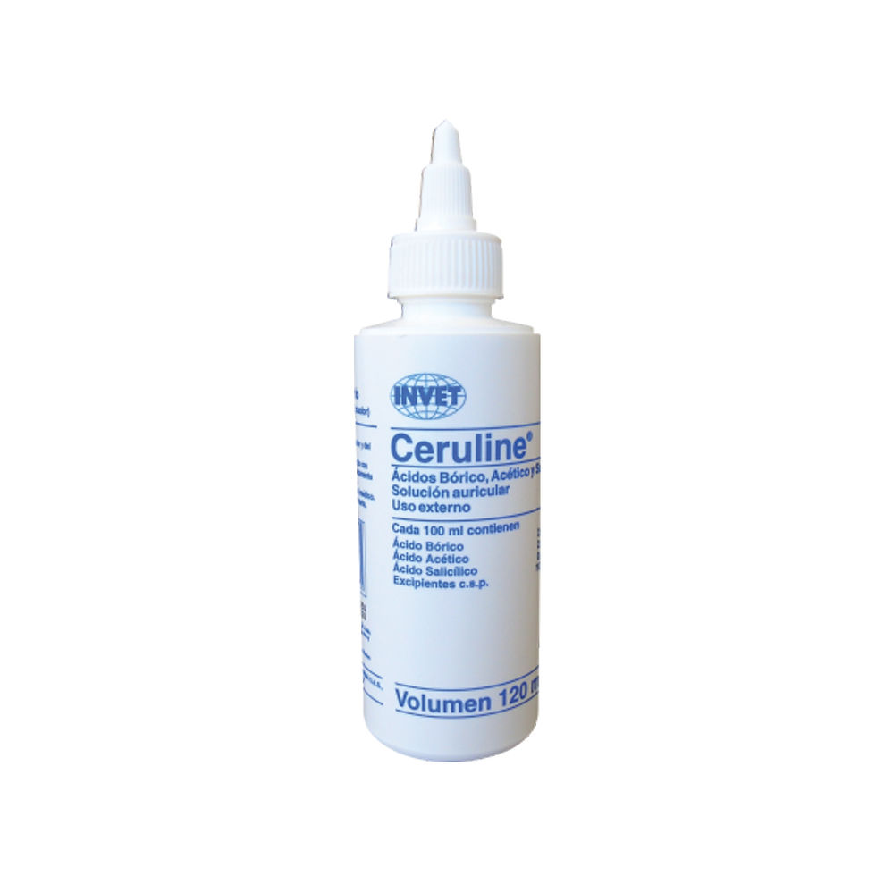 CERULINE | REALVA