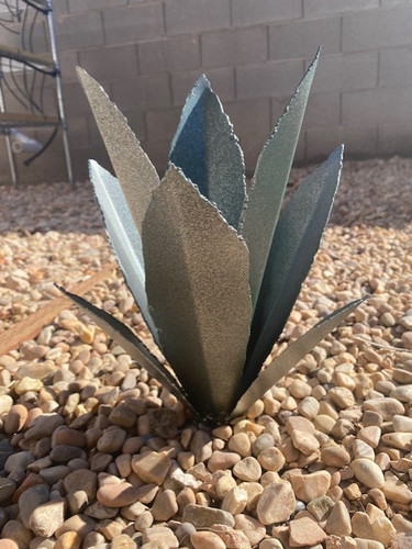 Short Metal Agave | US Metal Plants