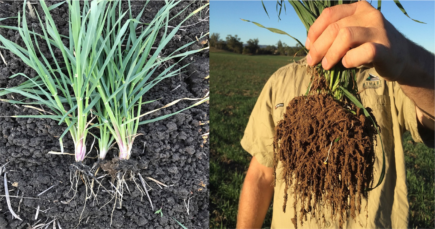 Resources for Your Farming Know-How | Farm Mojo