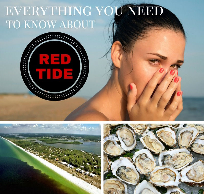 Red Tide - Everything You Need To Know