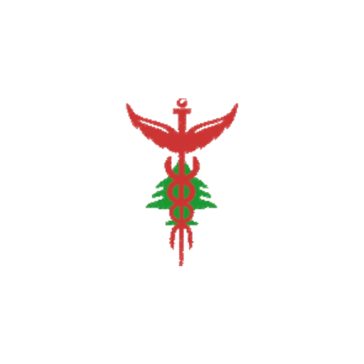 Lebanese Order of Physiotherapists (OPTL) | Member Organisation Europe ...