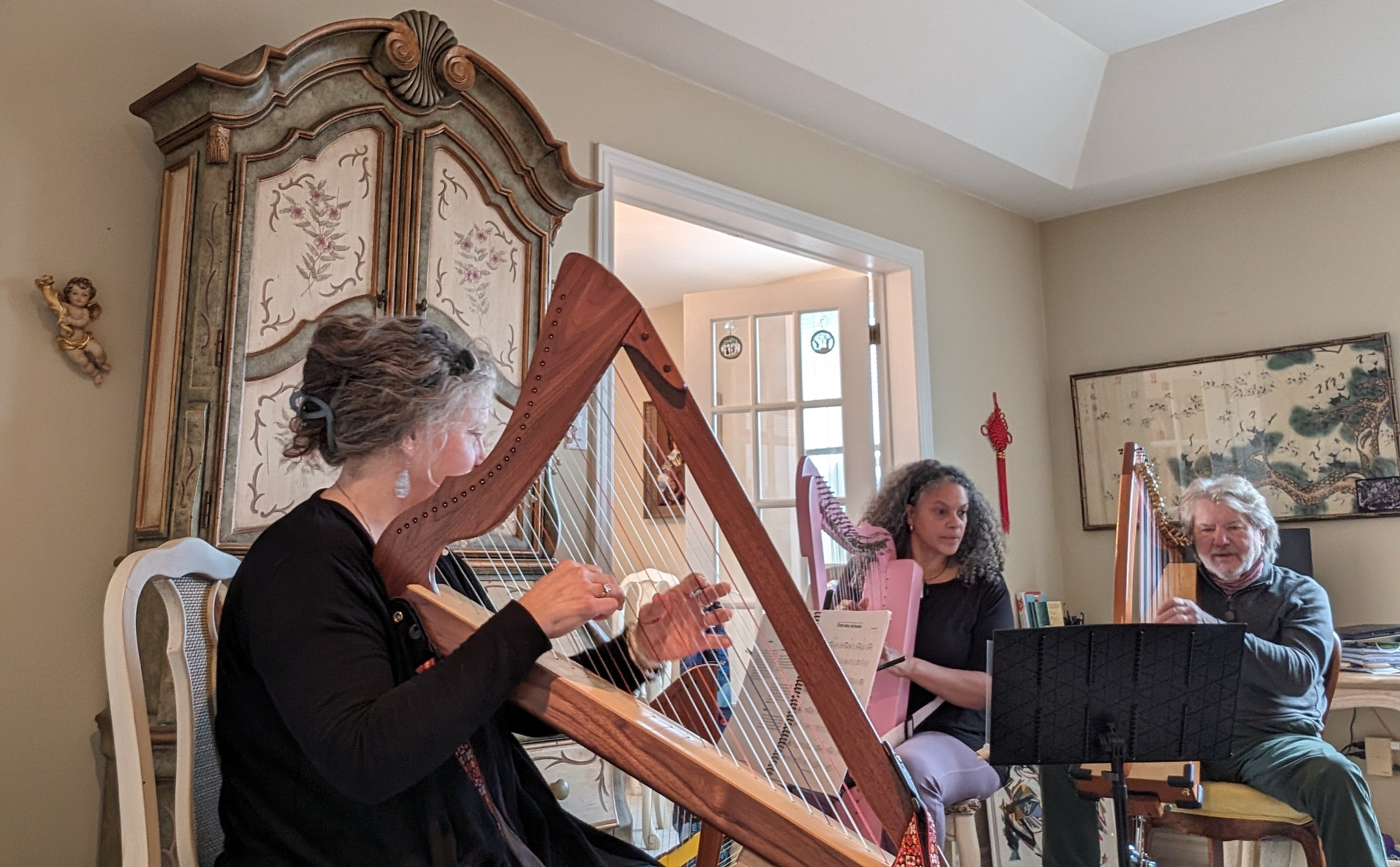 Harmonizing Health: The Therapeutic Benefits of Playing Harp Music