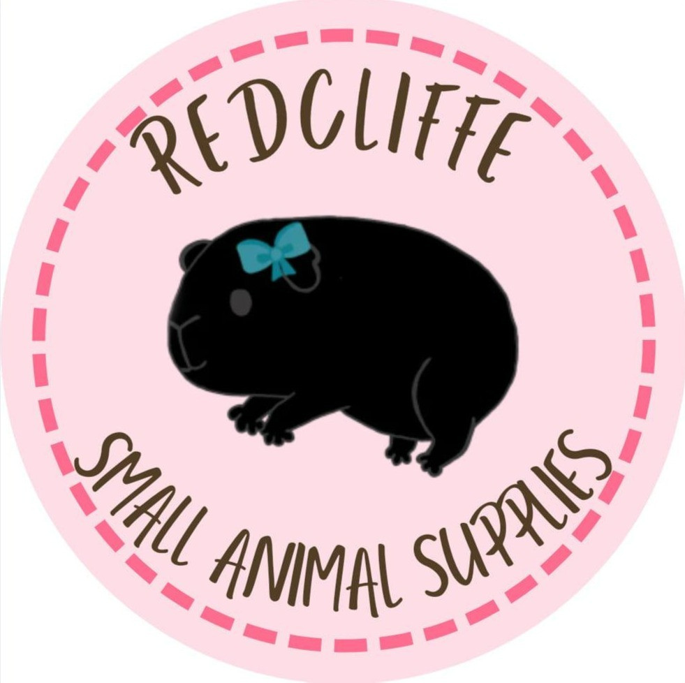 Guinea Pigs Australia | Redcliffe Small Animal Supplies | Redcliffe