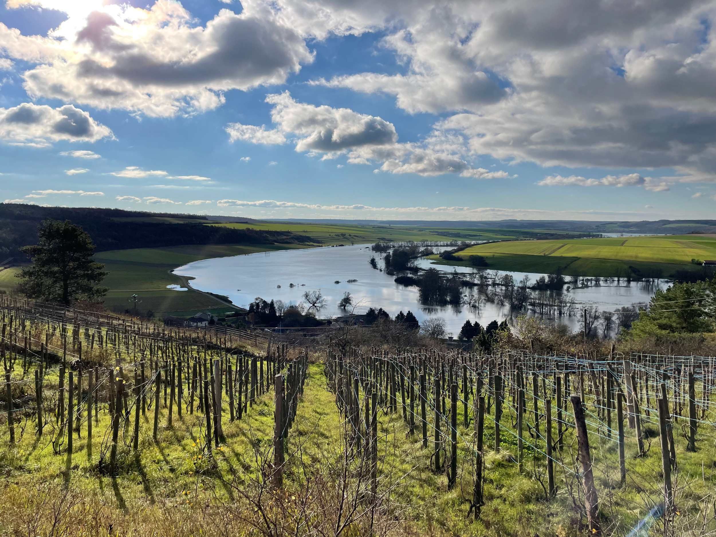 Rhone Valley private wine tour from Lyon in english