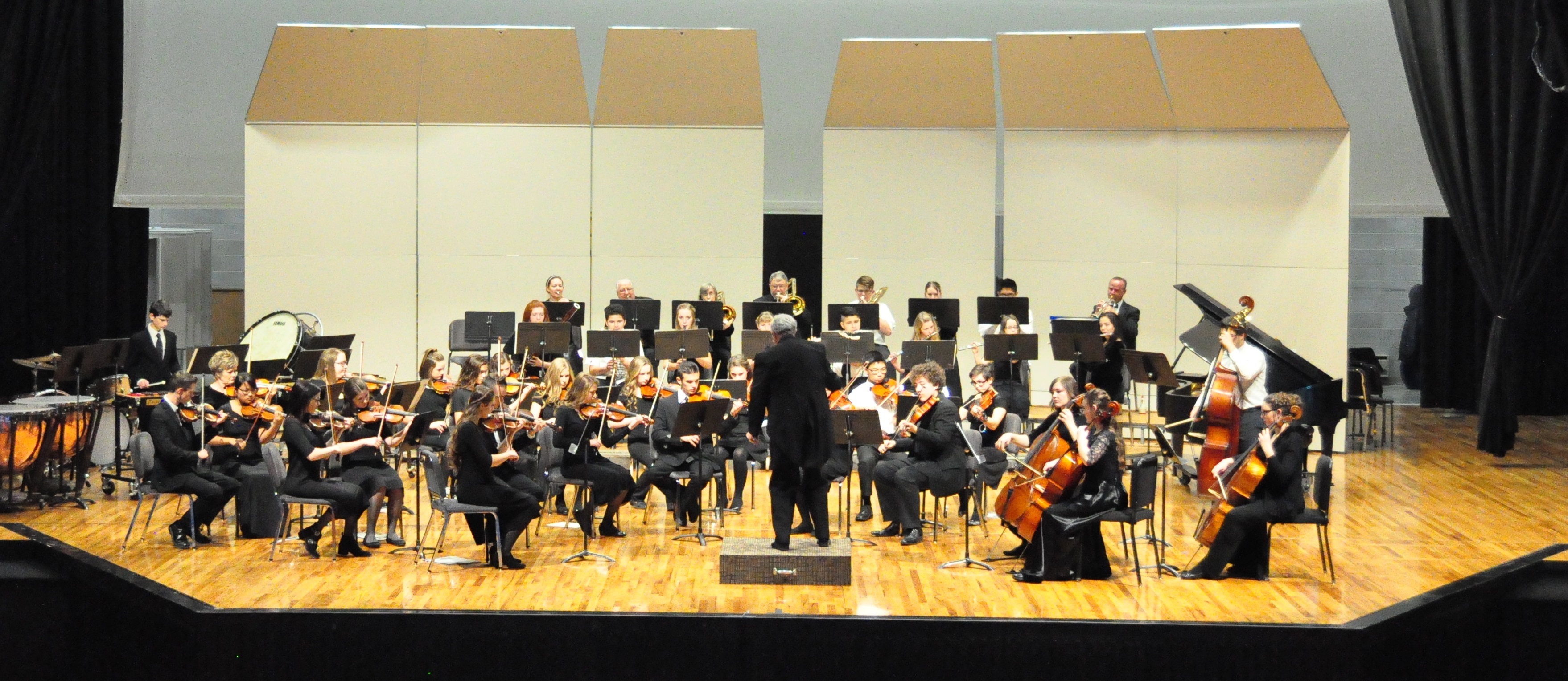 MVYO | MagicValley-youthorchestra.org | United States