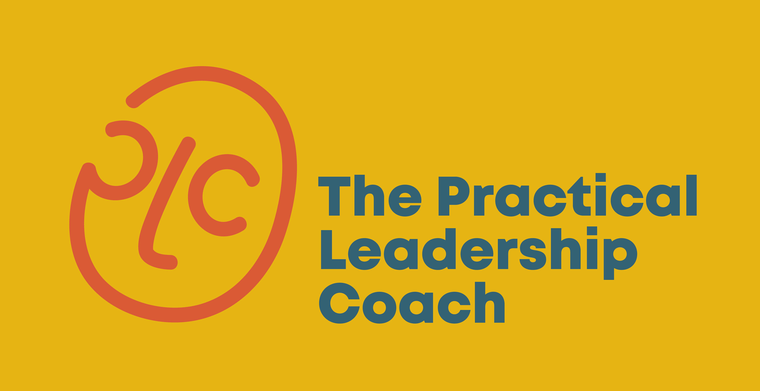 The Practical Leadership Coach | Executive coaching for SME leaders