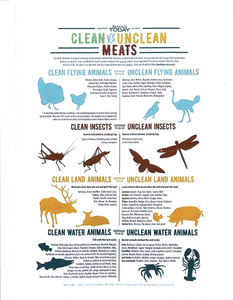Clean vs Unclean Meats