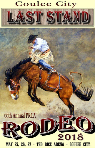 2018 Last Stand Rodeo Poster | Mysite