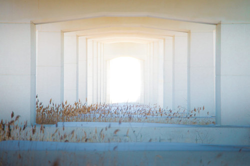 Bridge Heaven and Earth | Prismatic Human