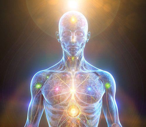 Template of the Golden Age Series - Template 1 - The Body Map ...