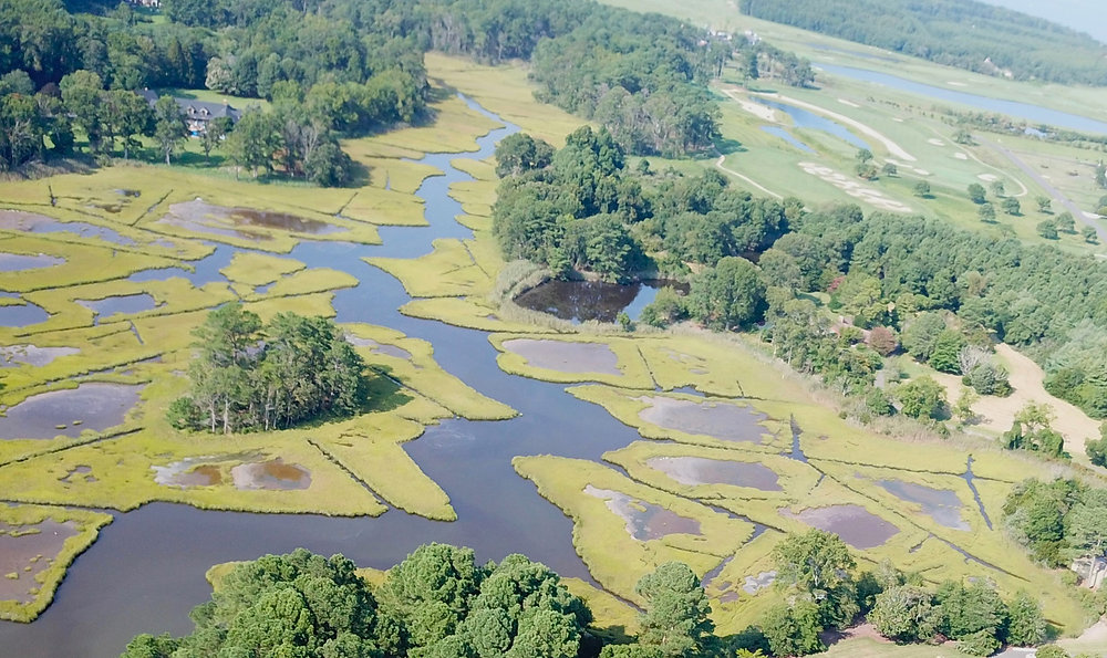 All About Marshes: Marsh Threats