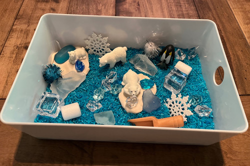 Arctic Sensory Bin