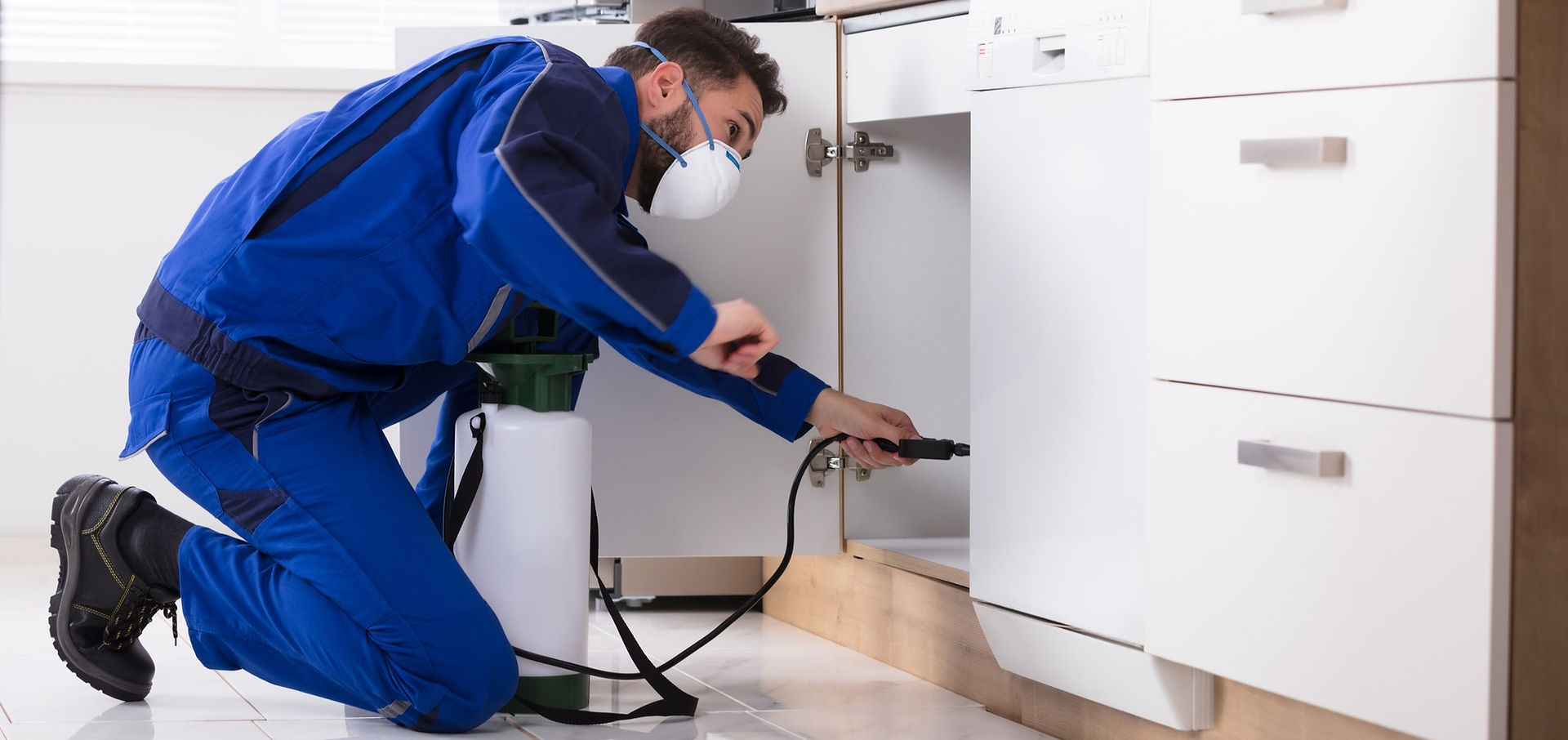 Services | Pests Be Gone