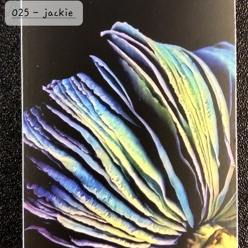 Jackie 3" holographic vinyl sticker | DINOSPORES