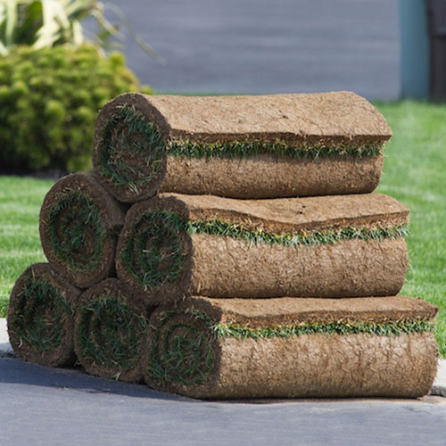 Kentucky Blue Grass - SOD Roll | Kingsway