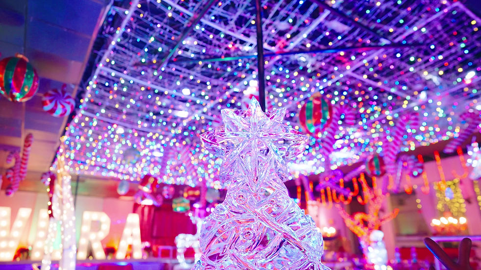 Vera Restaurant and Lounge in Cherry Hill NJ | Vera Bar and Grill