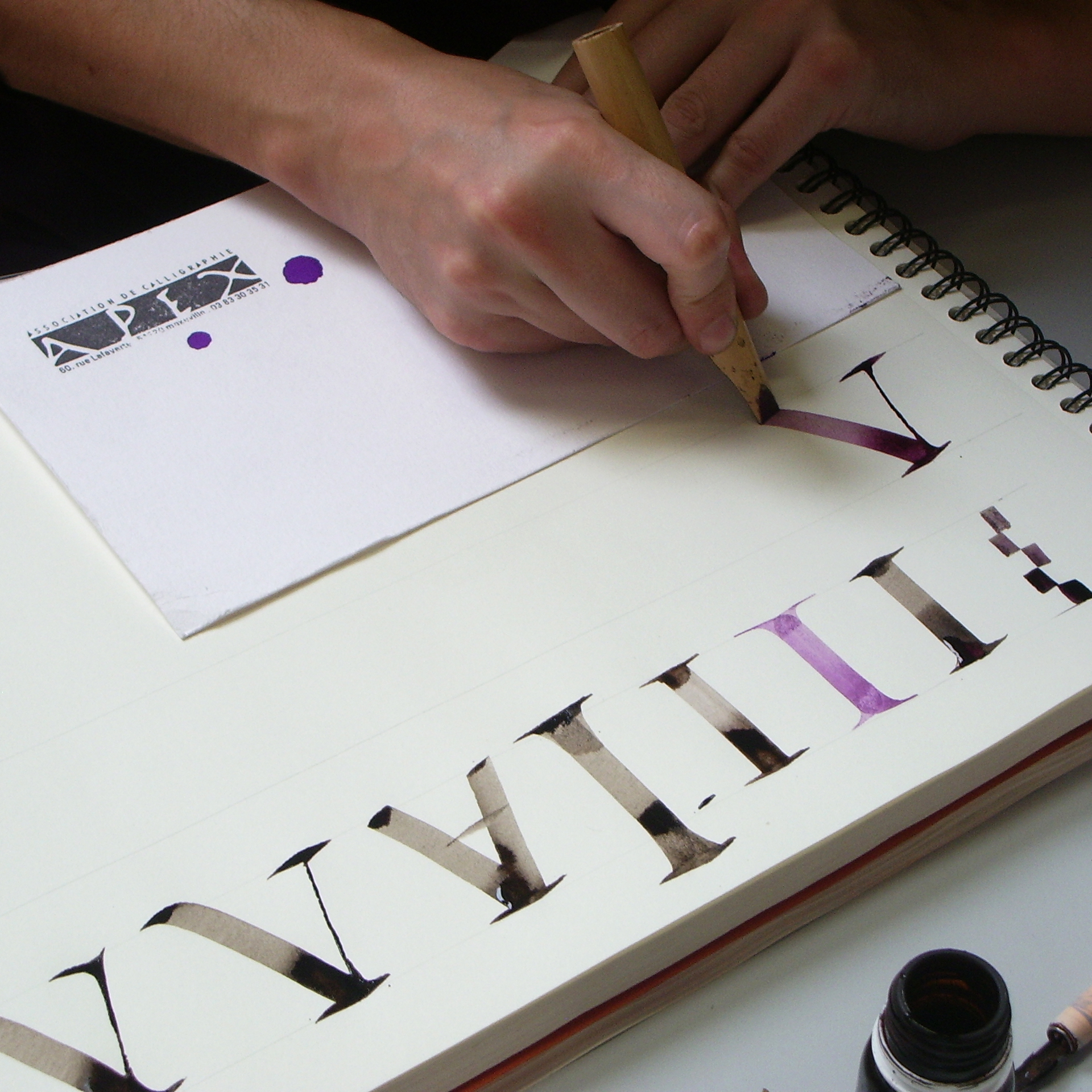 Apex, association de calligraphie latine et contemporaine à Nancy (54)