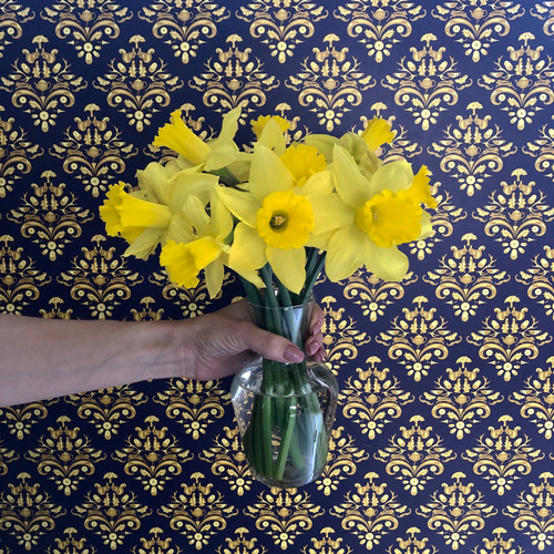 Midnight Crest | Willis Bloom