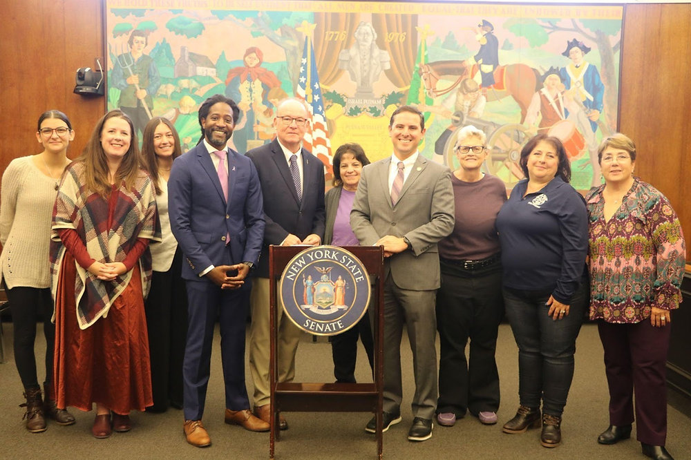 SLATER, ROLISON PUSH TO EXTEND SHELTER STAYS FOR DOMESTIC VIOLENCE ...