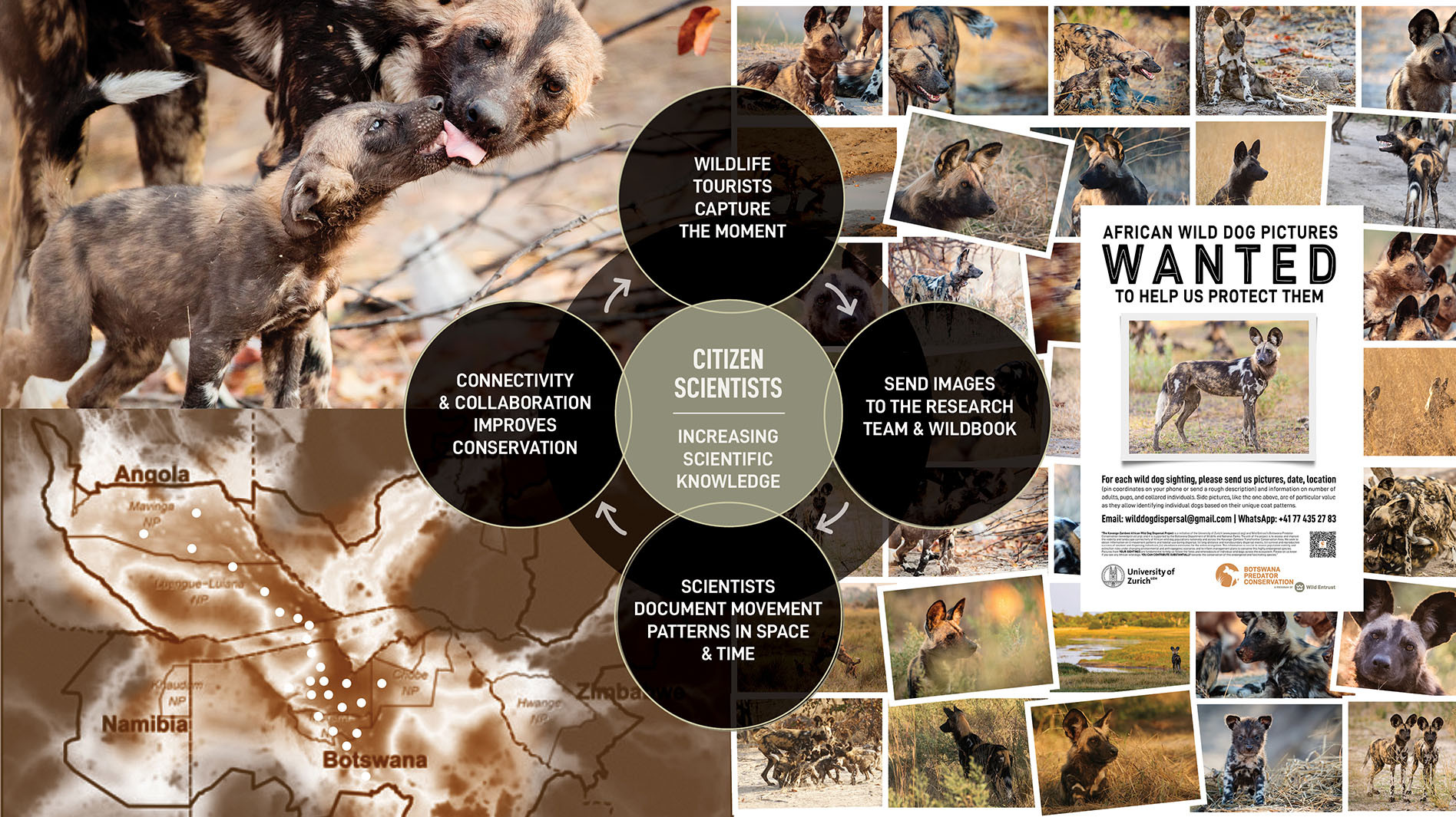 BECOME A CITIZEN SCIENTIST