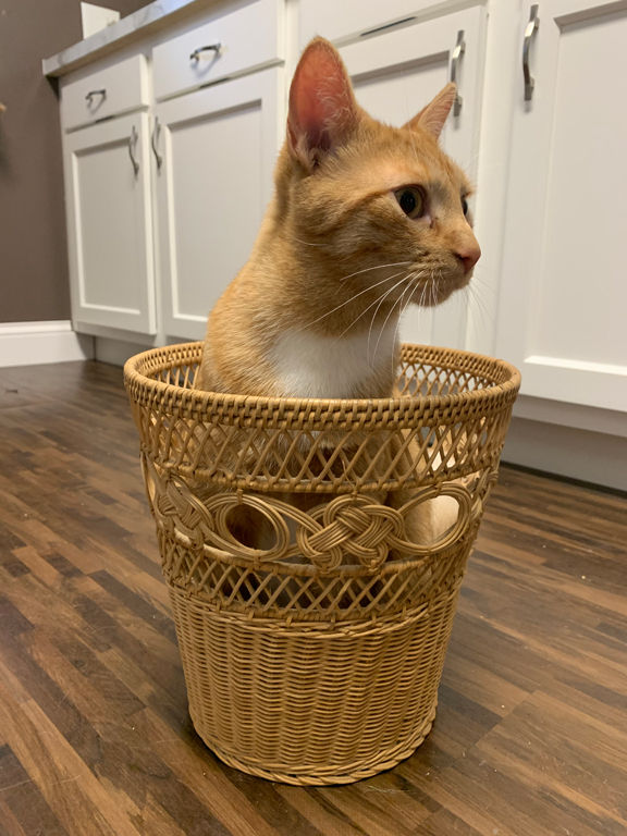 September 2021 Photo Gallery