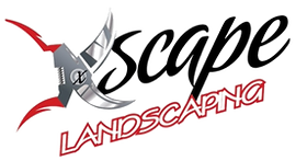 xscape group pty ltd